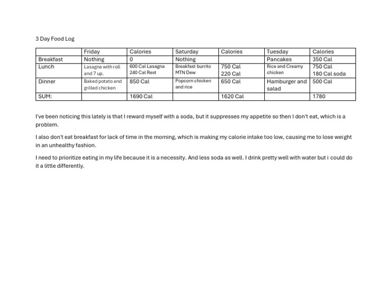 3 Day Food Log | PDF