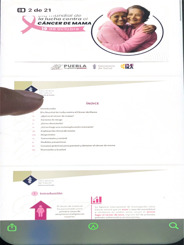 Documento Escaneado | PDF