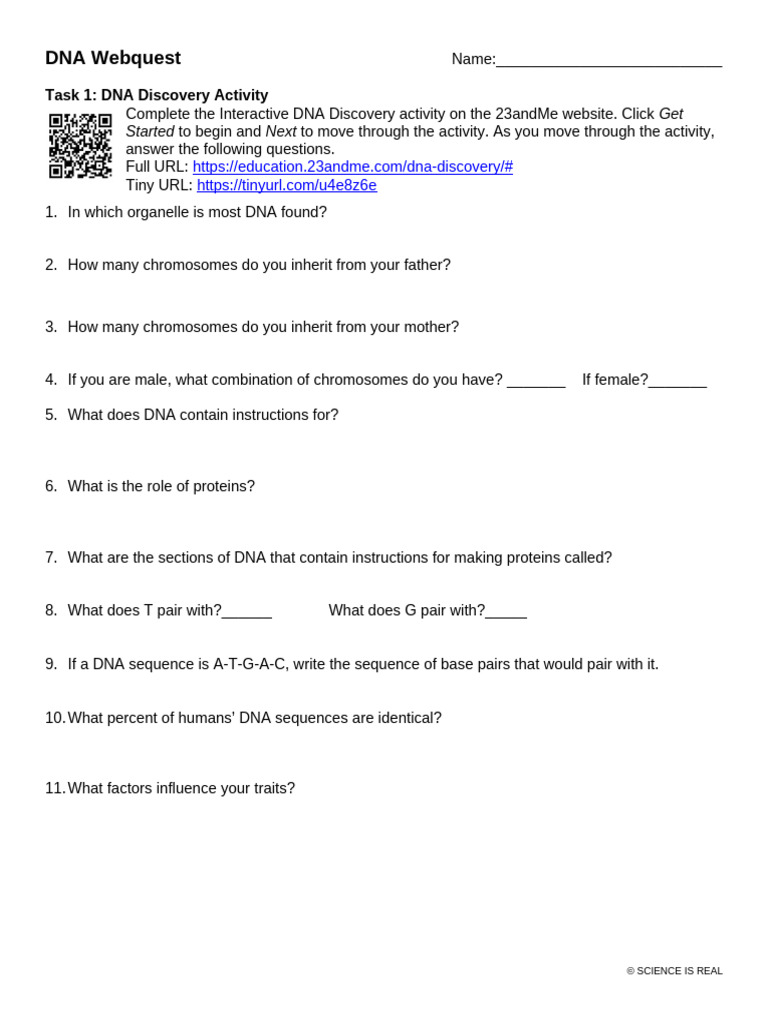 DNA Discovery and Structure Activities | PDF | Dna | Base Pair