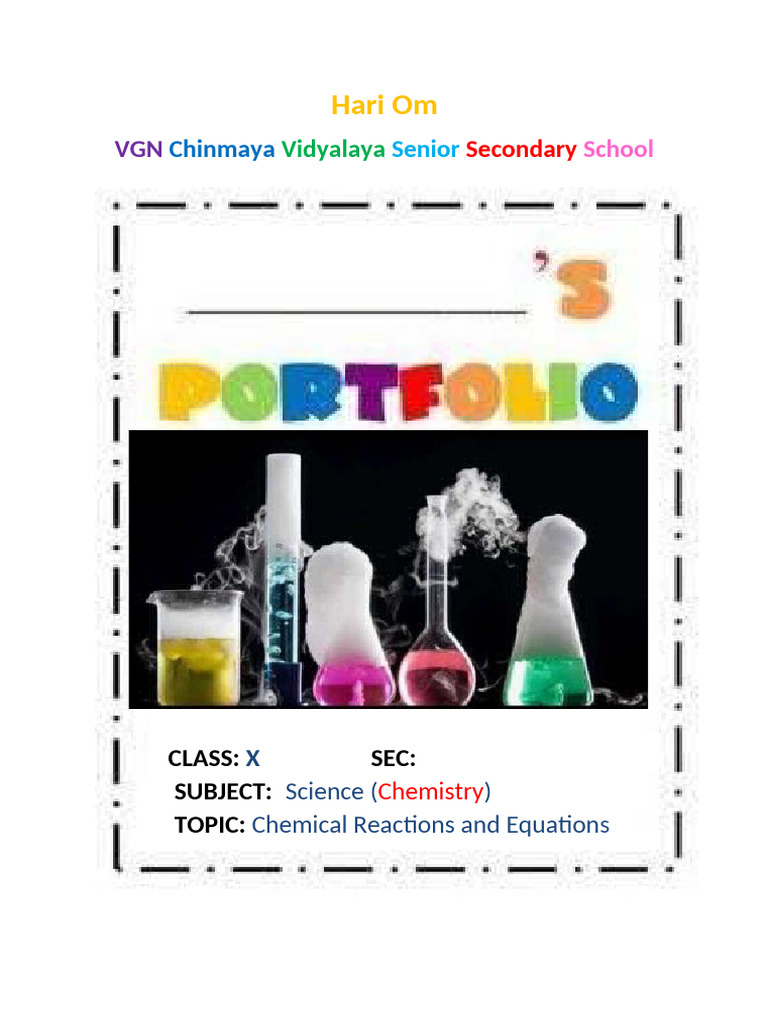 Class 10 Portfolio 2024 Cr&e 4 | PDF