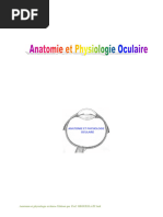 Anatomie du Corps Géniculé Latéral | PDF | Système visuel | Vision