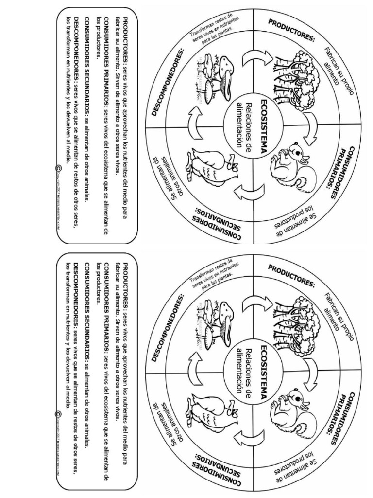 Cadena Alimentaria | PDF