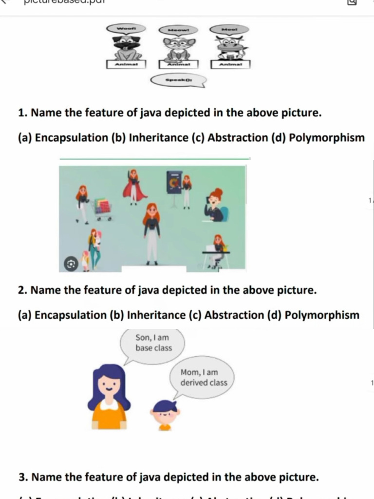 Computer Image Based Questions | PDF