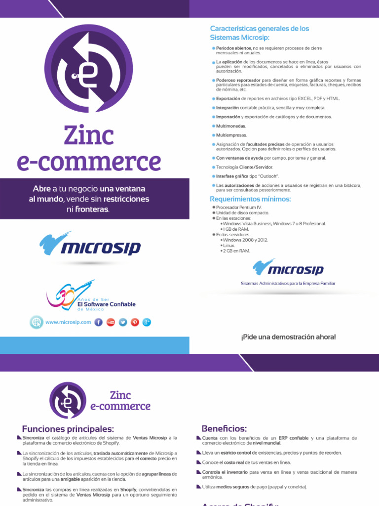 Folleto Zinc | PDF
