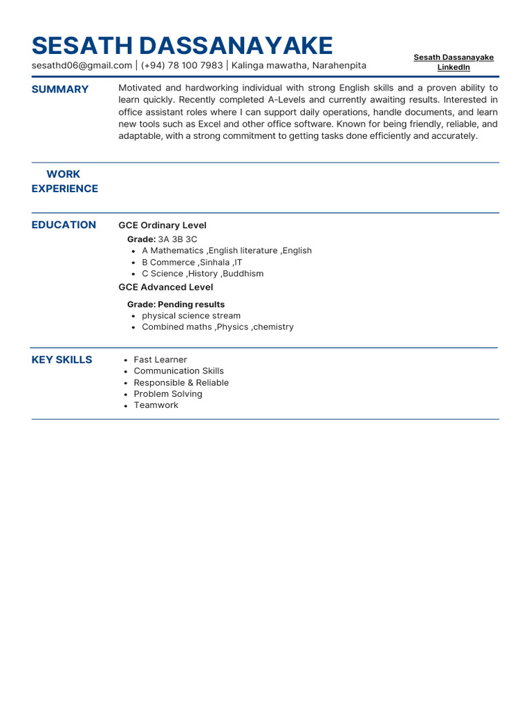Copy of CV | PDF
