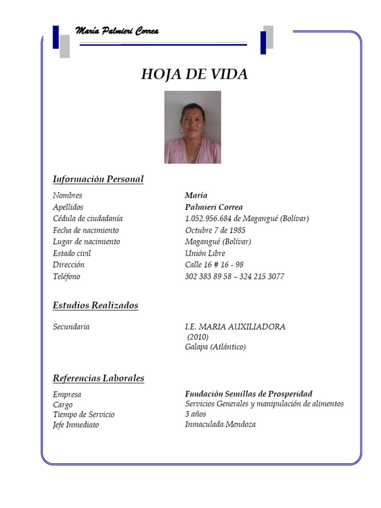 Hoja de Vida de María Palmieri Correa | PDF | Gobierno