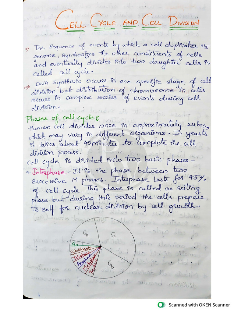 Cell Cycle and Cell Division - Handwritten Notes | PDF
