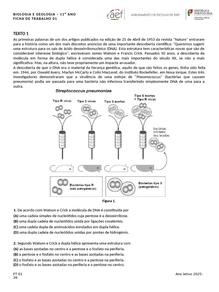 Estrutura e Função do DNA em Biologia | PDF | DNA | Espiral dupla de ...