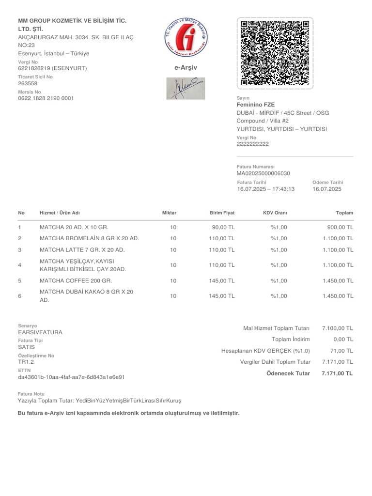 Feminino Invoice July 2025 | PDF