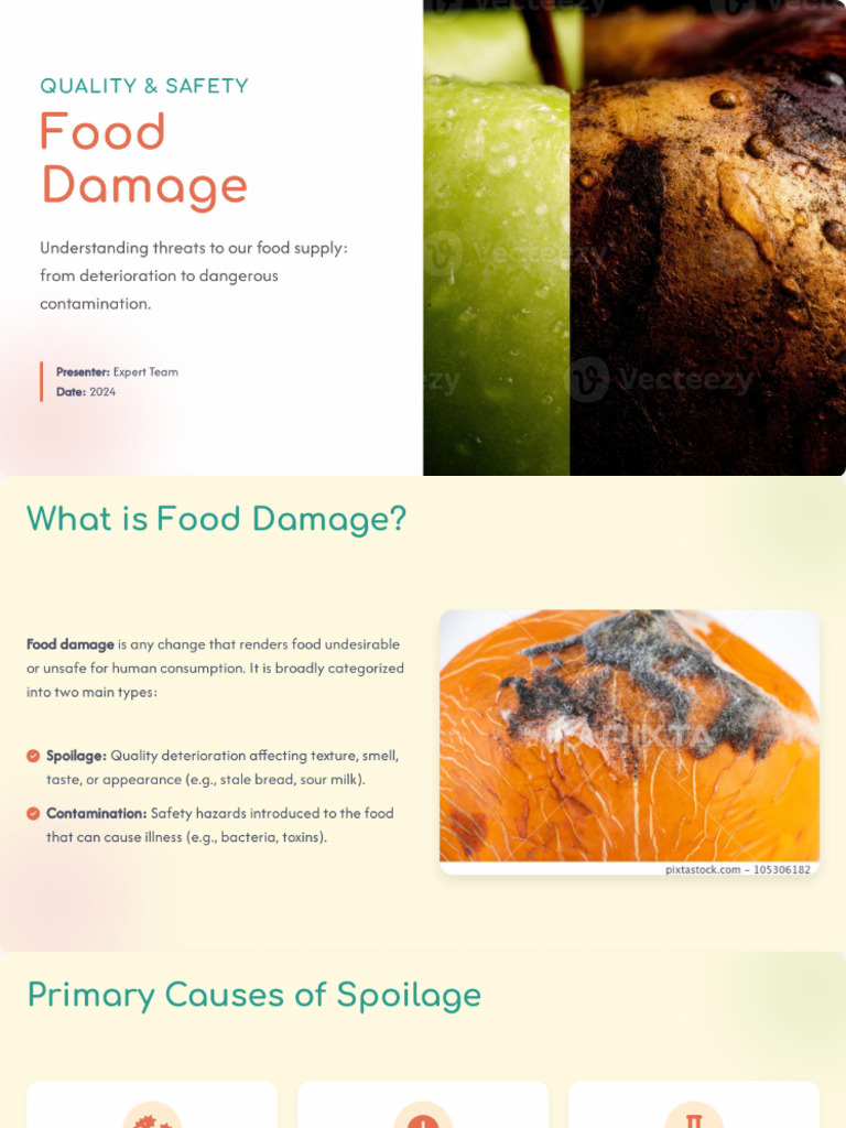 Food Damage Presentation | PDF
