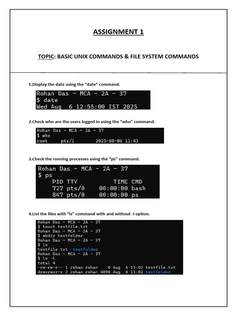 Basic UNIX Commands and File System Guide | PDF