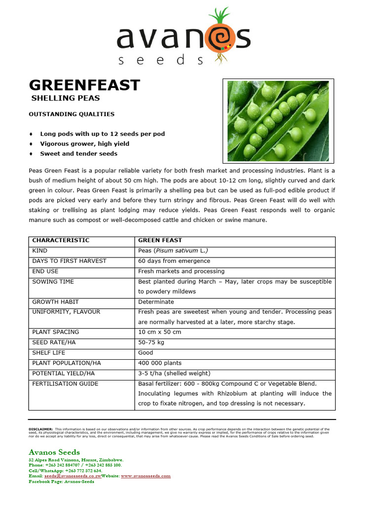 Peas Green Feast-1 | PDF | Pea | Legume