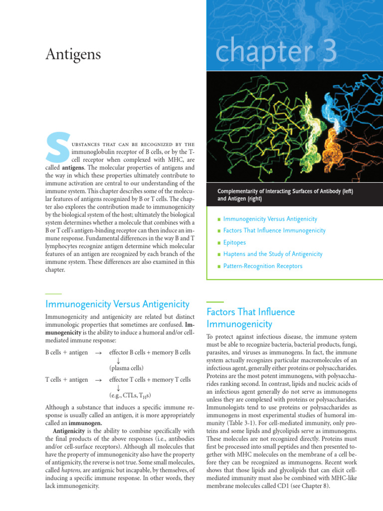 Immunology Chp 3 | PDF | Antigen | Epitope