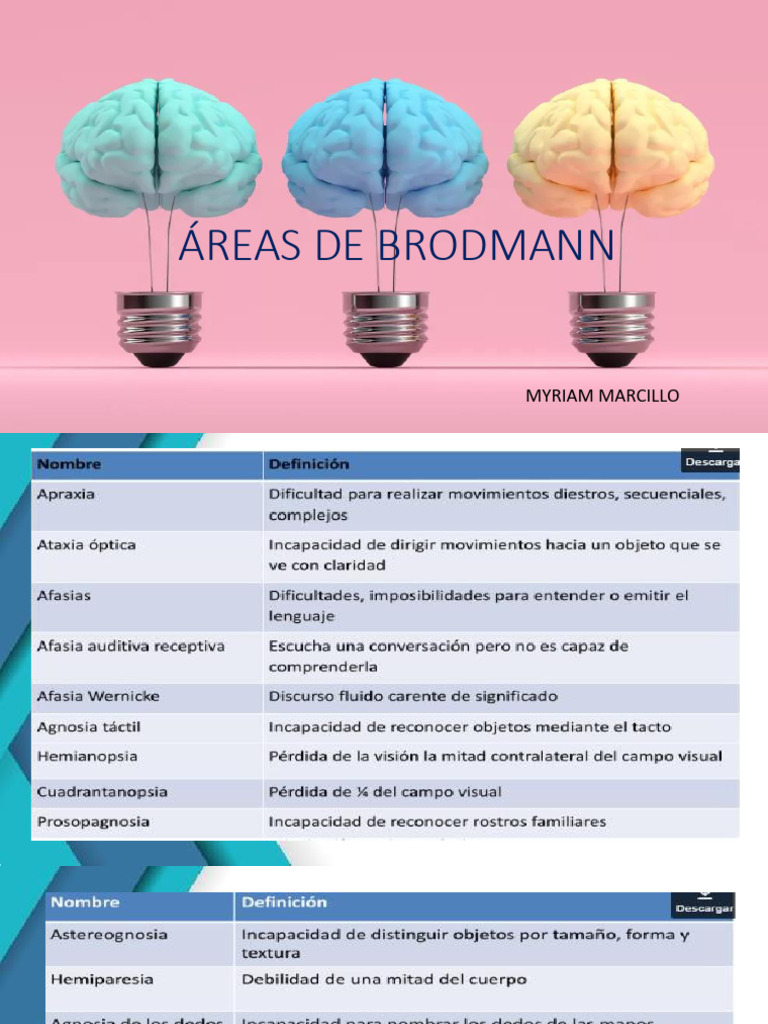 Areas de Brodman | PDF | Cerebro | Corteza Insular