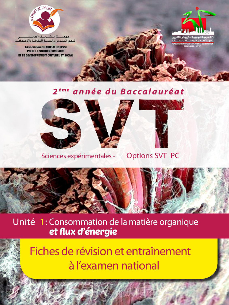 11604404 Consommation de La Matiere Organique Et Flux d 039 Energie Fiches de Revision Unite 1 ...