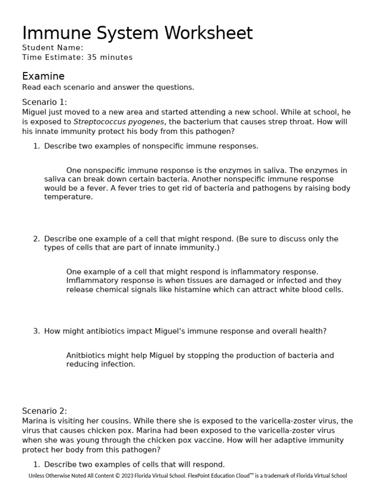 immune system worksheet | PDF | Immune System | Pathogen