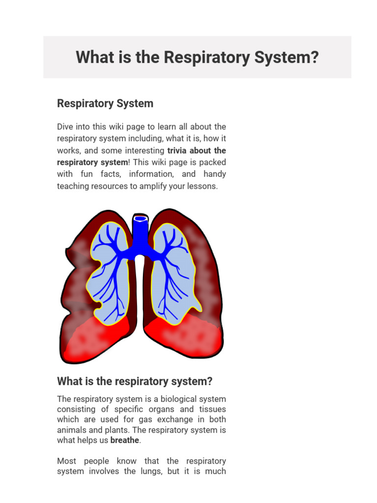 Respiratory System | Fun Facts for Kids | Wiki -… | PDF | Respiratory ...