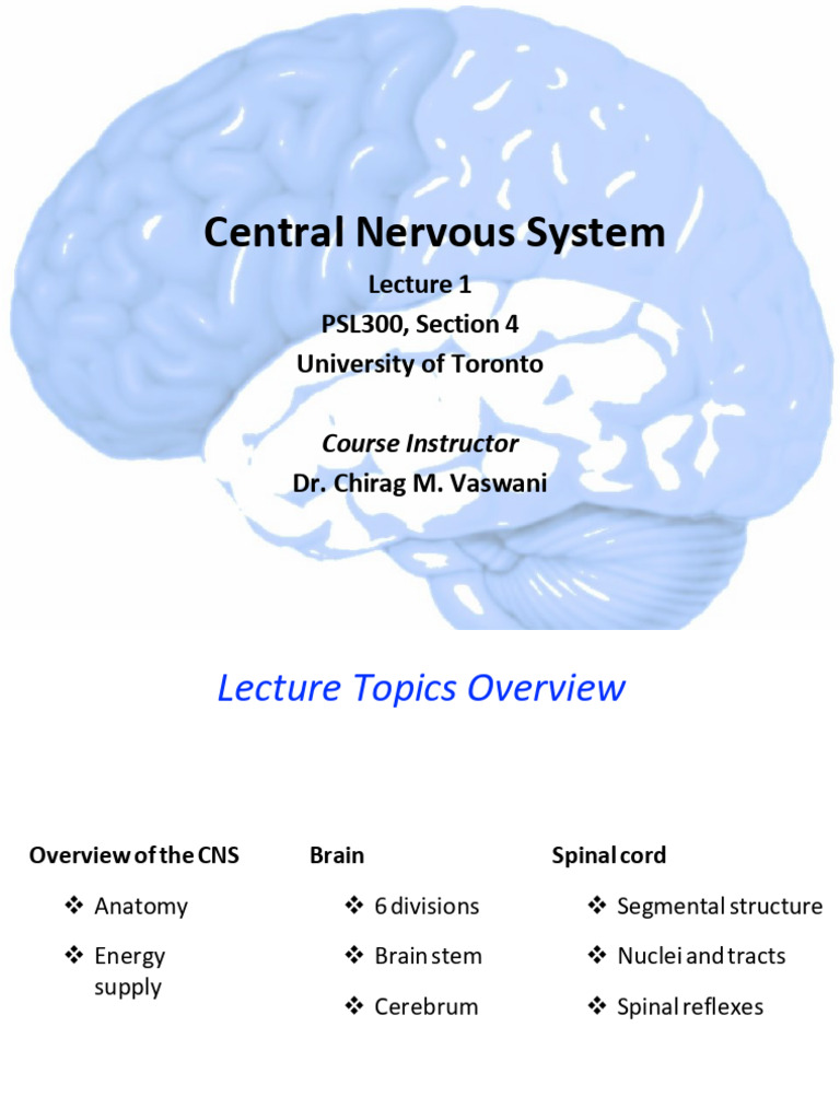 SV1-PSL300_Vaswani_1_Central_Nervous_System 2 | PDF | Central Nervous ...