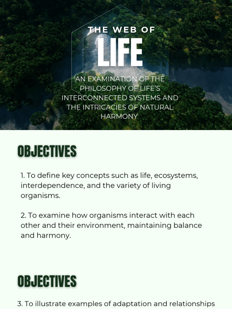 Green Modern Minimalist Ecosystem Presentation - 20251204 - 085626 ...