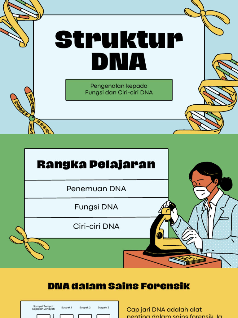 Struktur DNA | PDF