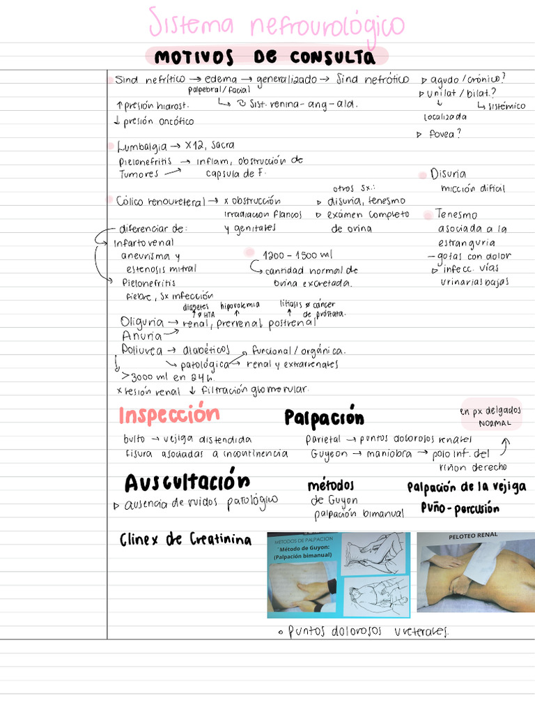 SEMIO 2 | PDF | Riñón | Medicina CLINICA