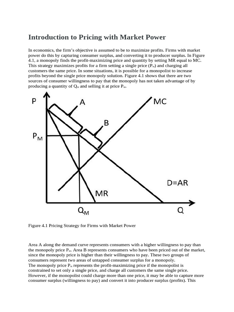 Pricing Strategies for Market Power | PDF | Monopoly | Economic Surplus