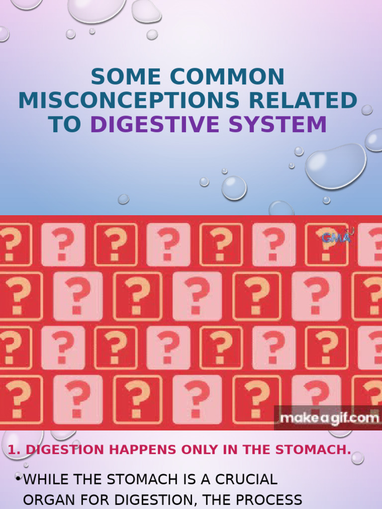 digestive system fact or bluff | PDF | Digestion | Gastrointestinal Tract