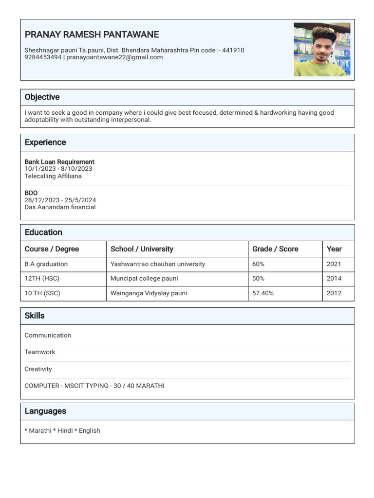 Pranay Resume New | PDF