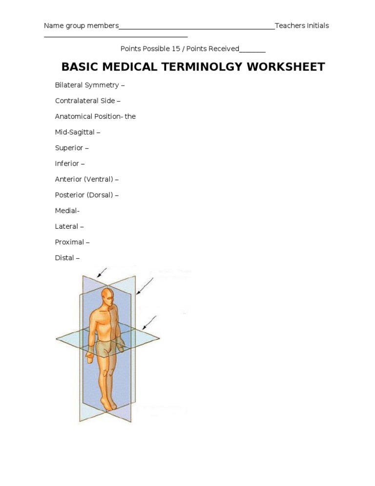 Basic Medical Terminology Worksheet | PDF | Wellness | Science ...