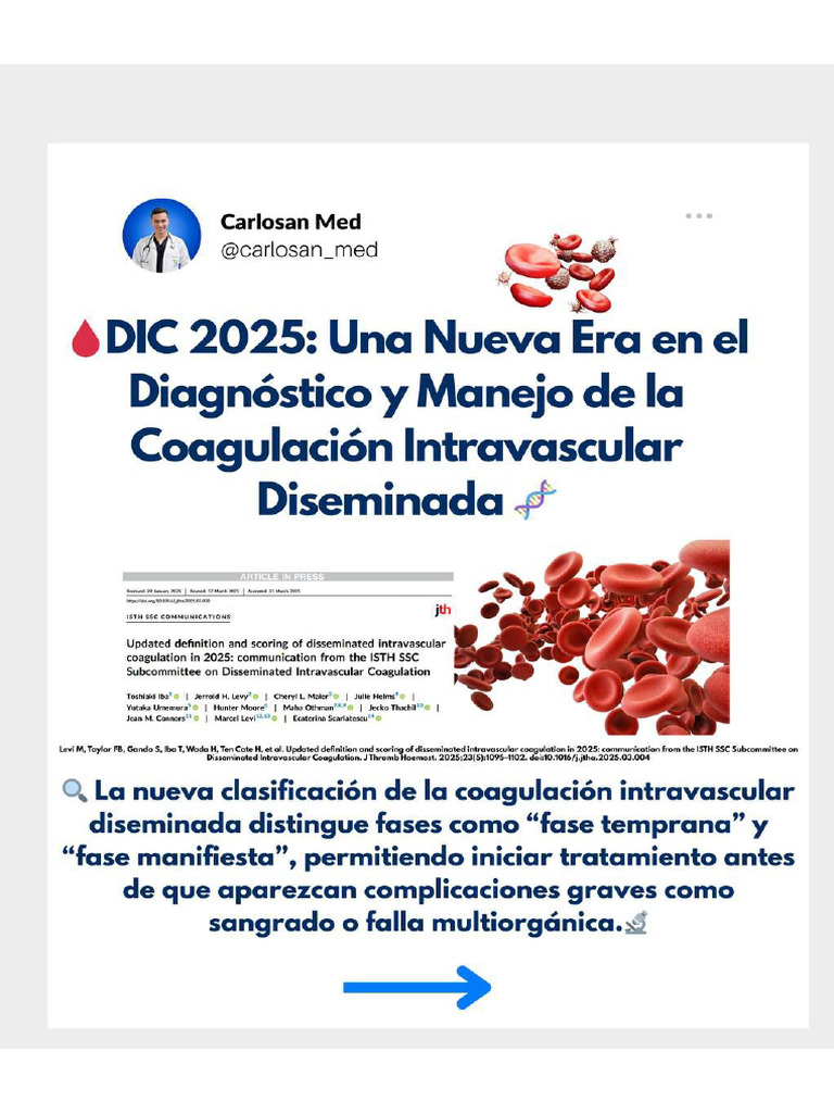 Cid 2025 | PDF