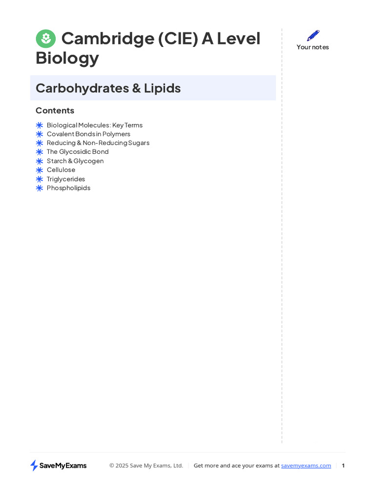 A Level Biology: Carbohydrates & Lipids Guide | PDF | Carbohydrates ...
