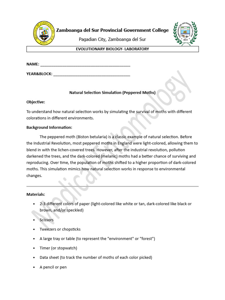 Natural Selection Simulation: Moths Lab | PDF | Evolutionary Biology ...