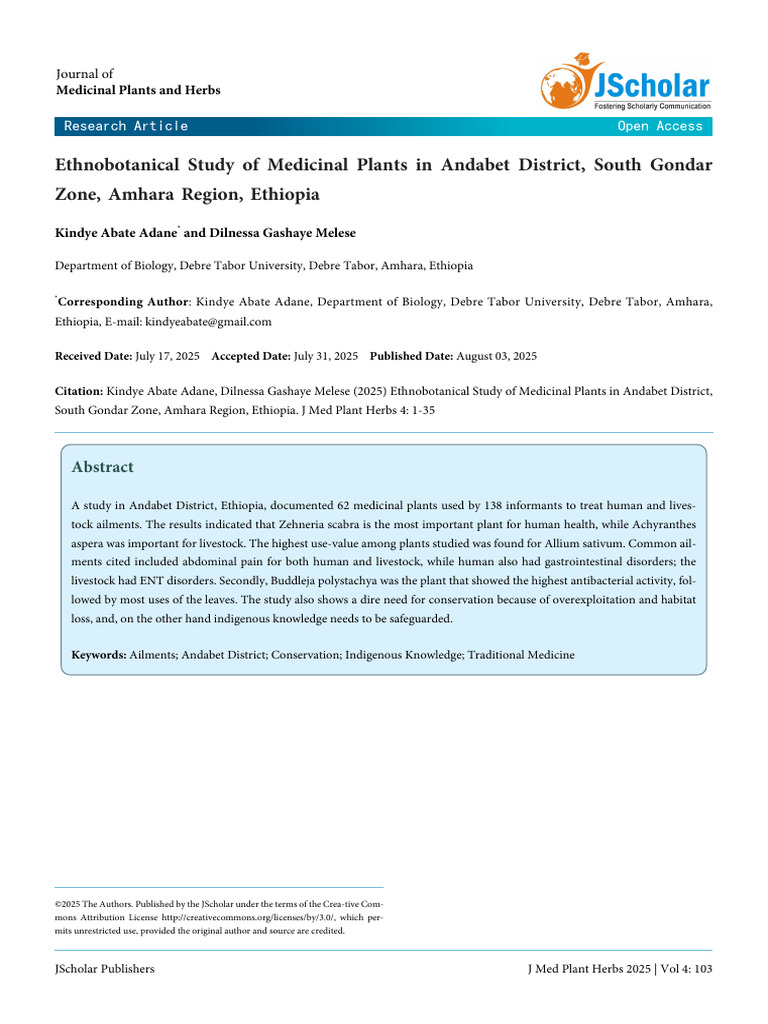 Andabet District | PDF | Traditional Medicine