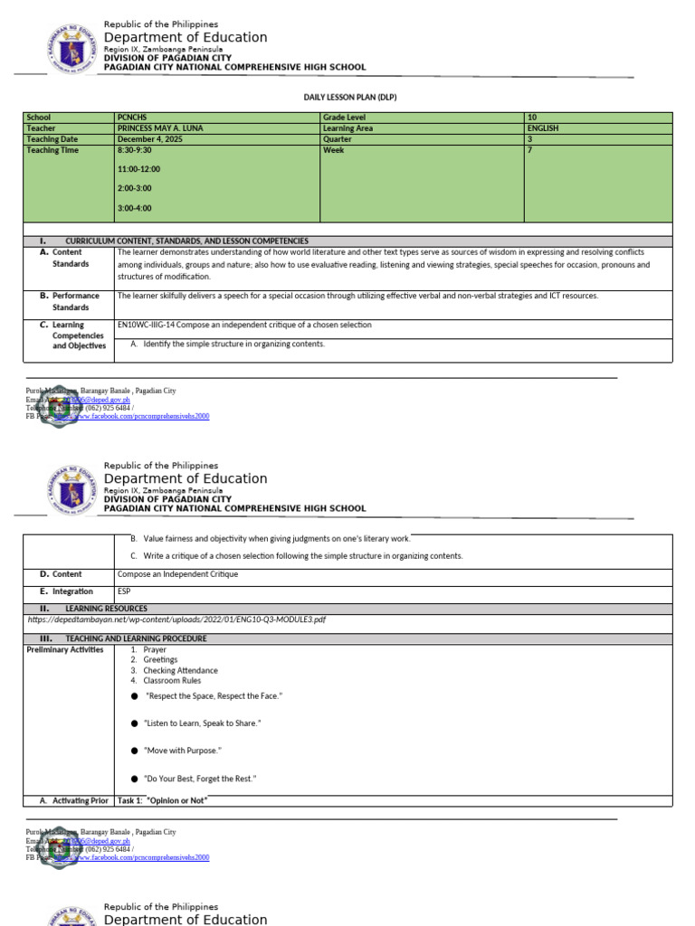 Grade 10 English Daily Lesson Plan | PDF