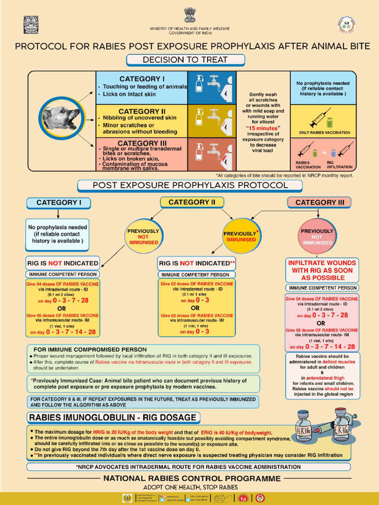 PEP Protocal | PDF