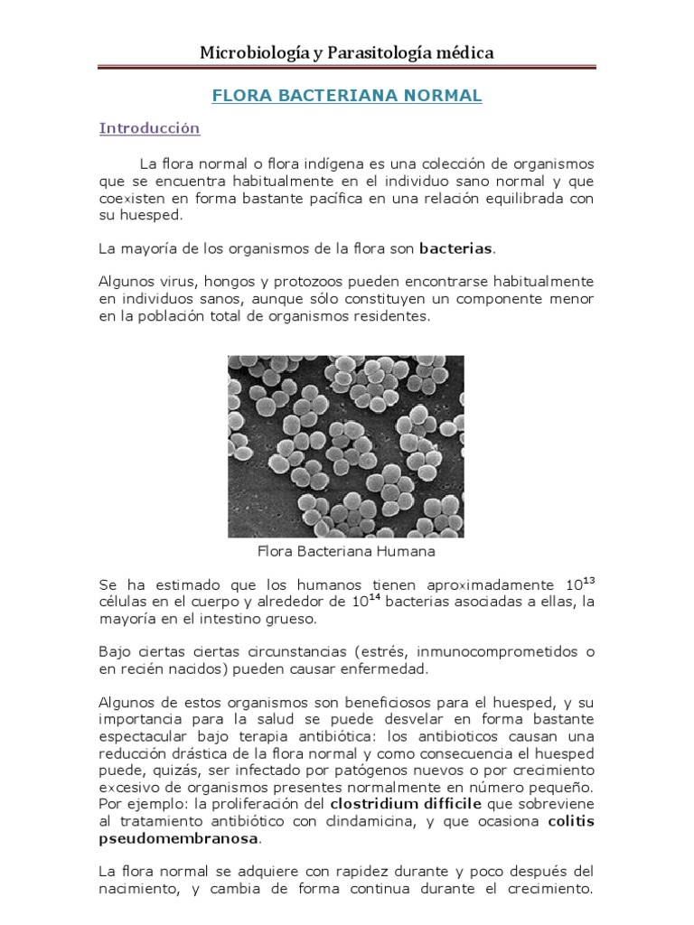 Microbiología y Parasitología médica: Flora Bacteriana Normal