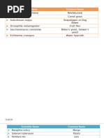 Higaonon Tribe: Culture and Attire | PDF | Foreign Language Studies ...