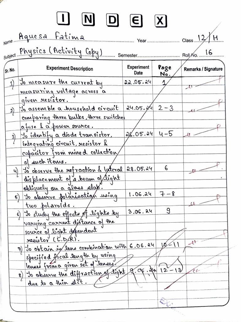 Class 12 Physics (Activity Copy) November 03 2025 | PDF