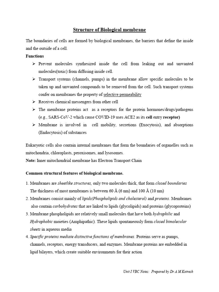Structure of Biological Membranes | PDF | Cell Membrane | Biological ...