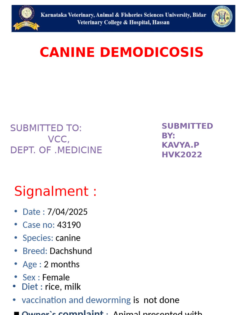 Canine Demodicosis Diagnosis and Treatment | PDF | Integumentary System