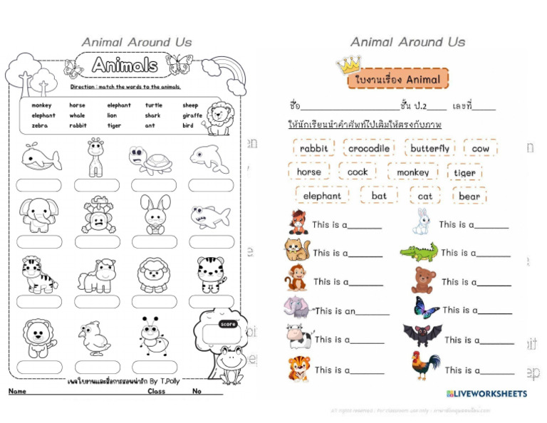 Animal | PDF
