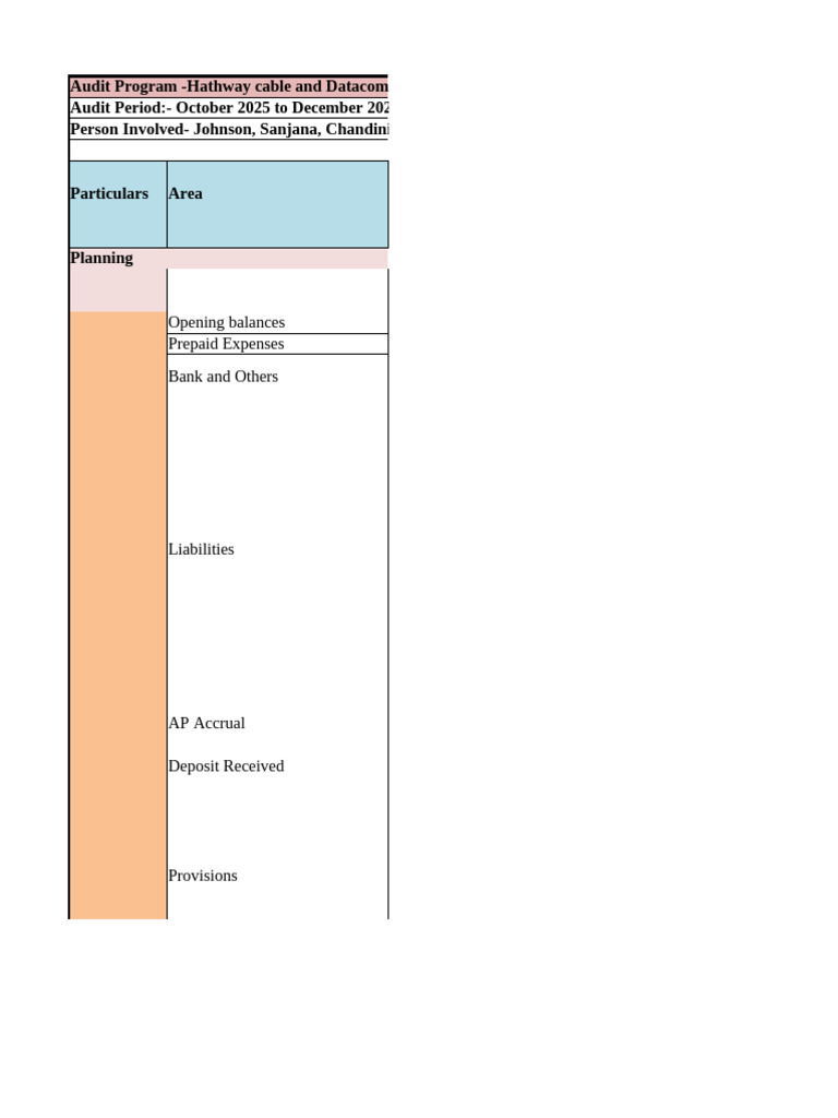 Hathway Cable Audit Program Overview | PDF | Business | Financial Services