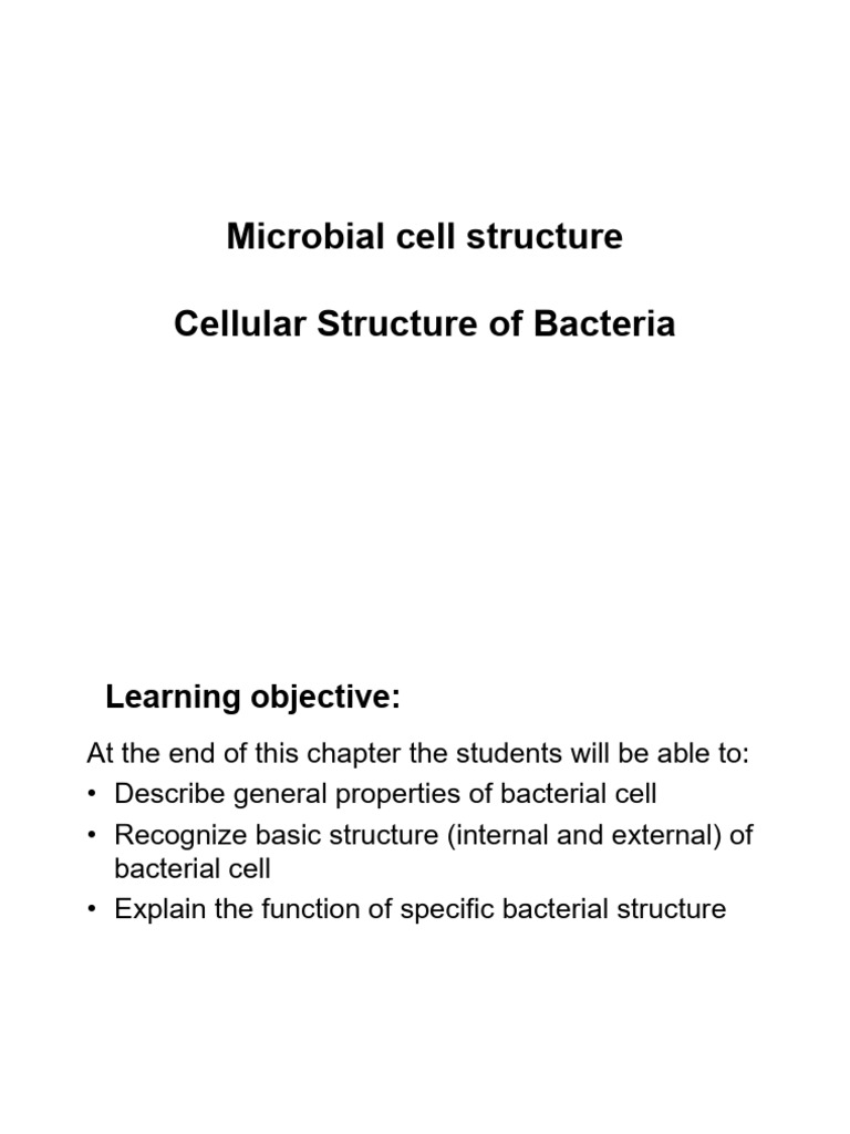 Bacterial Cell Structure and Function | PDF | Cell (Biology) | Bacteria
