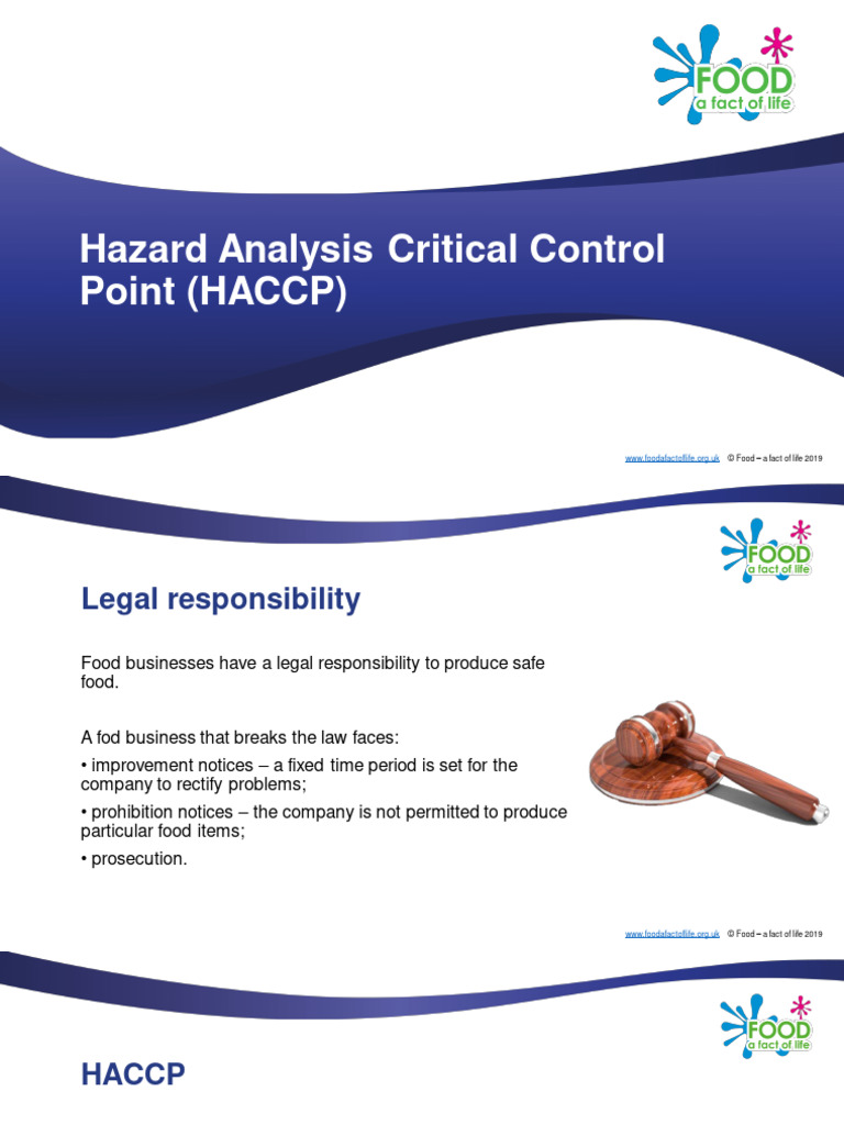 Understanding HACCP for Food Safety | PDF | Hazards | Safety