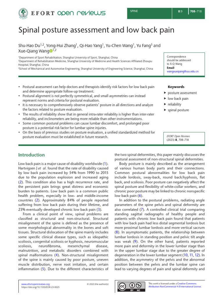 RS - Spinal Posture Assessment and Low Back Pain | PDF | Scoliosis ...