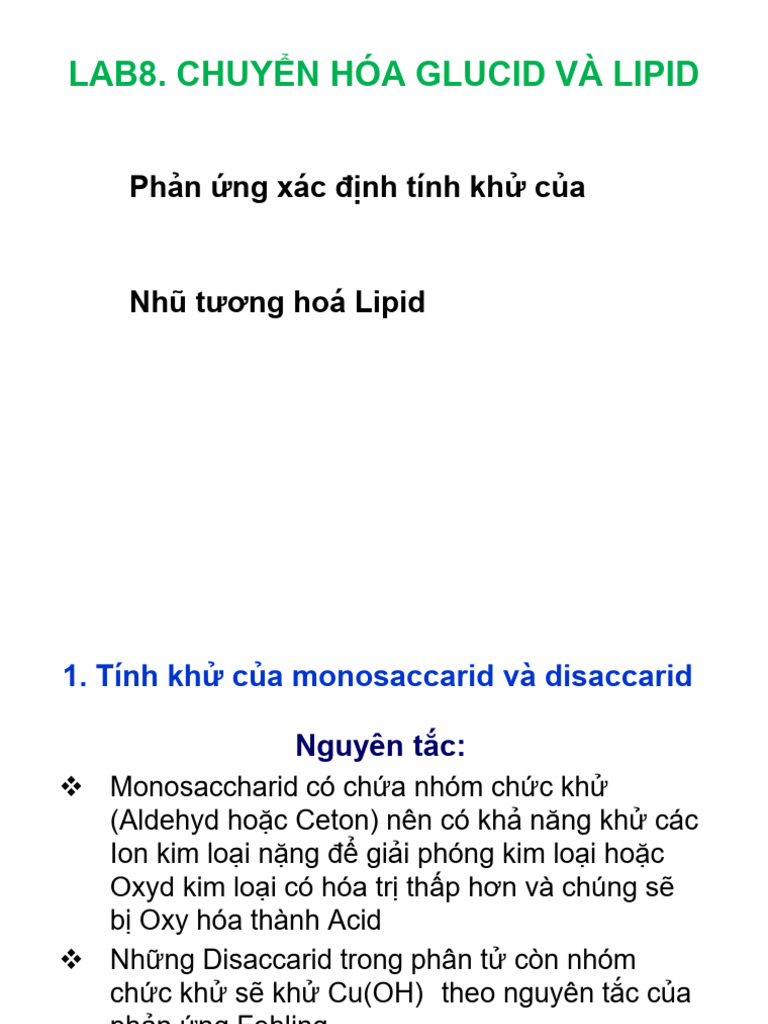 LAB8 | PDF
