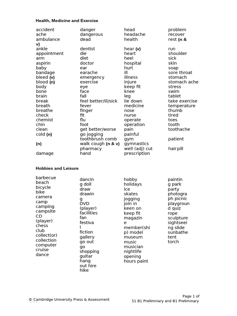 B1 Preliminary Vocabulary Guide | PDF