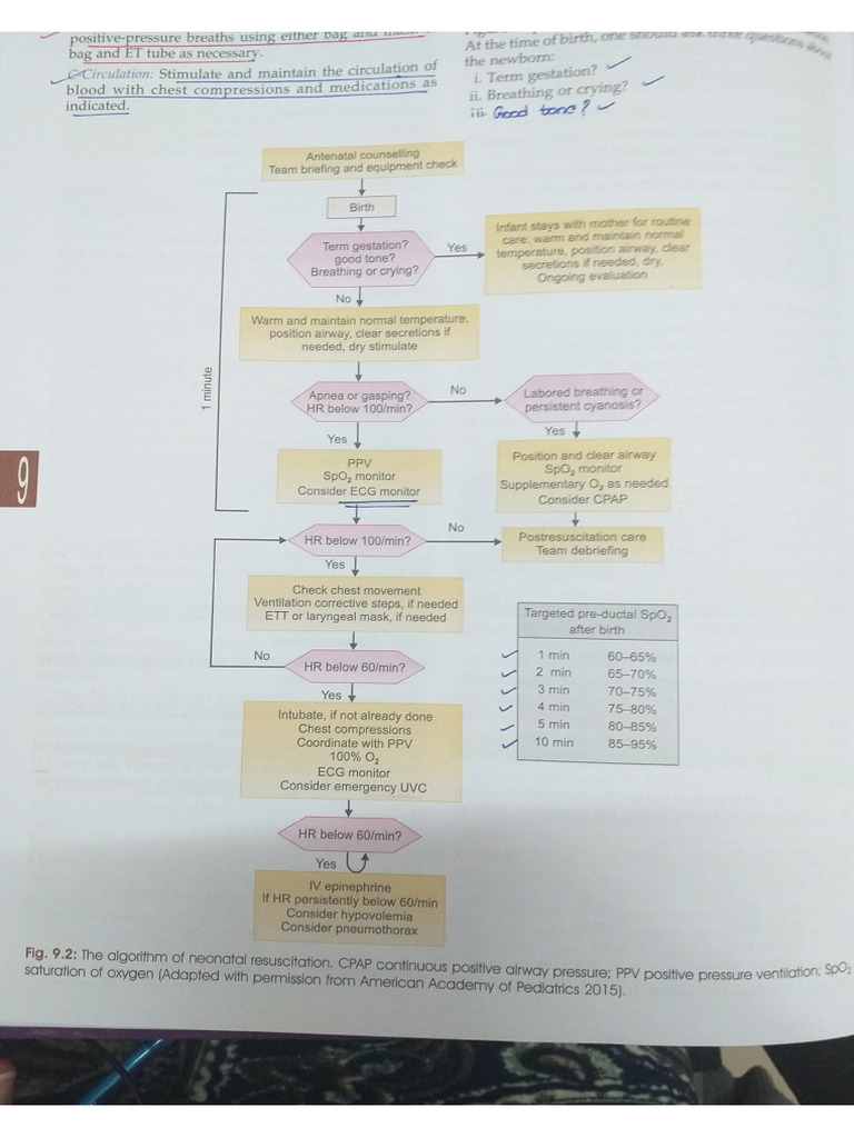 Pedia Practical Drugs | PDF