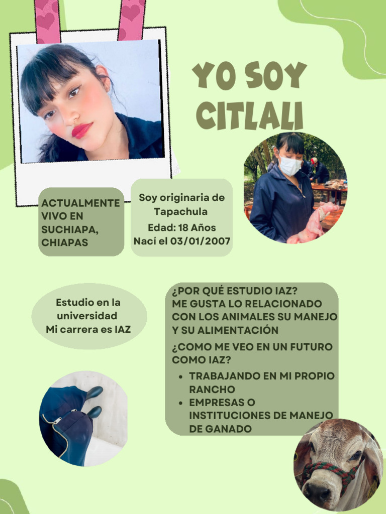Infografia de Citlali | PDF