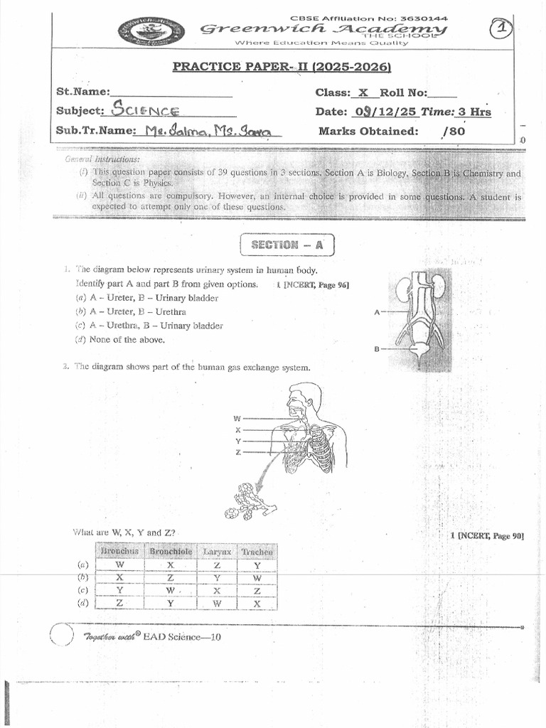 Science GR 10 Practice Paper 2 Updated - 065638 | PDF